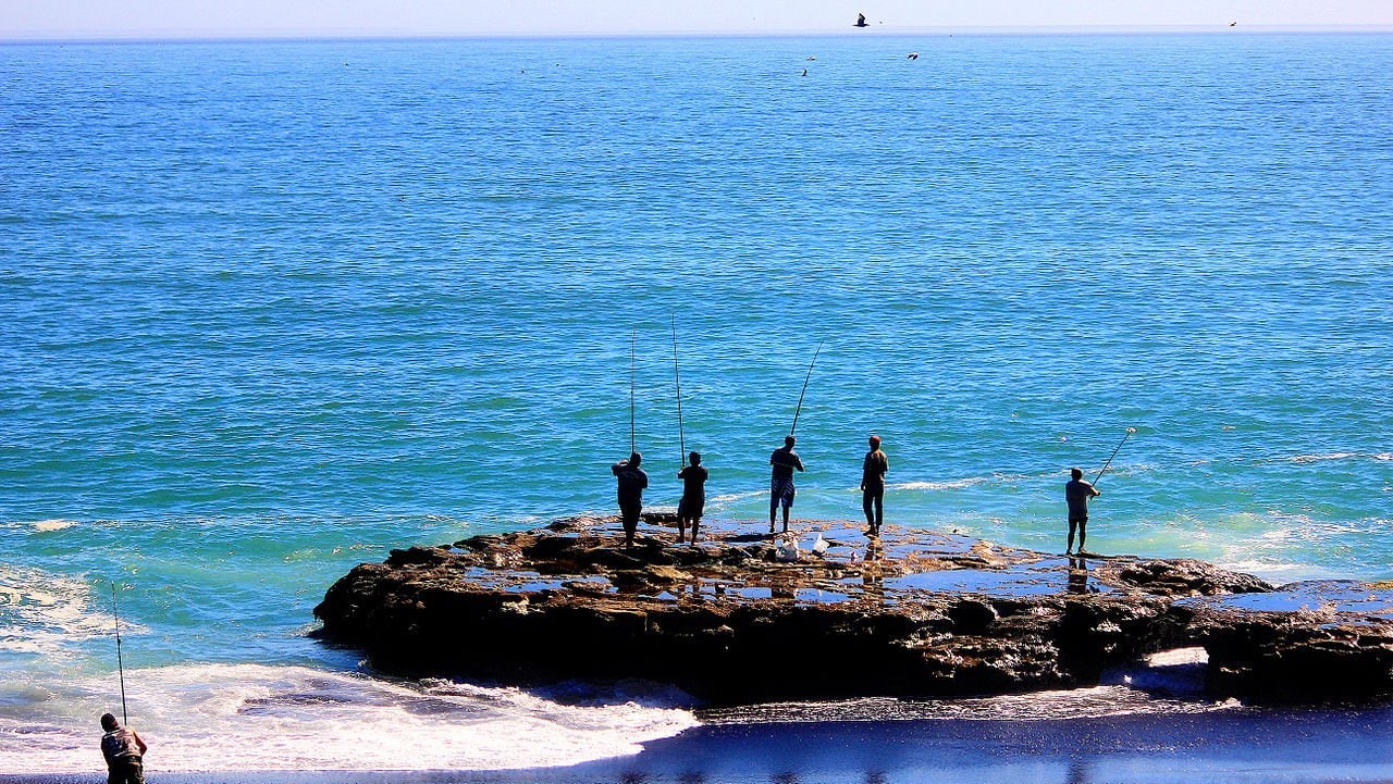 4 Lugares Turísticos Octava Región (Bio Bio) - ¿Qué visitar? (2025)