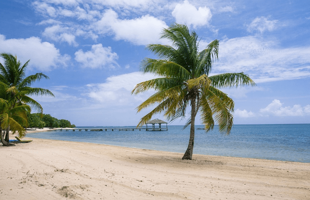 7 Mejores Playas De Roatán - ¿Qué visitar? (2025)